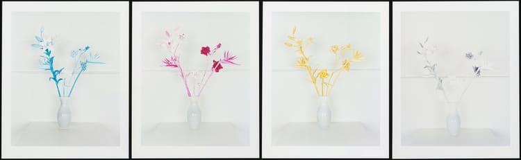 Foam Collection - Foam: All about photography