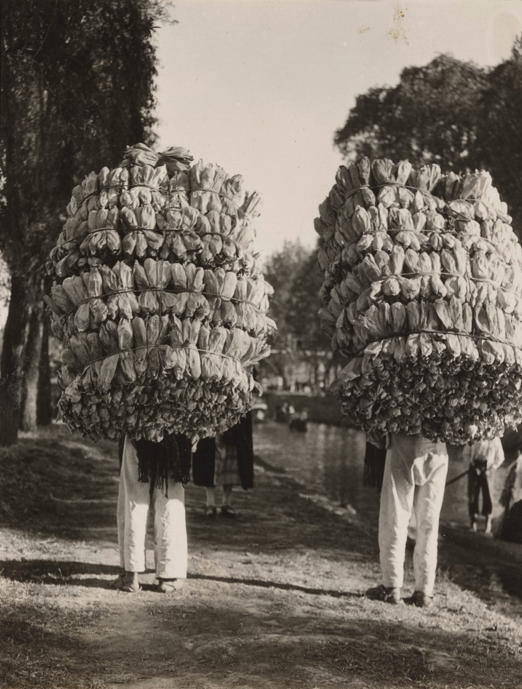 Tina Modotti - Artist | Foam: all about photography